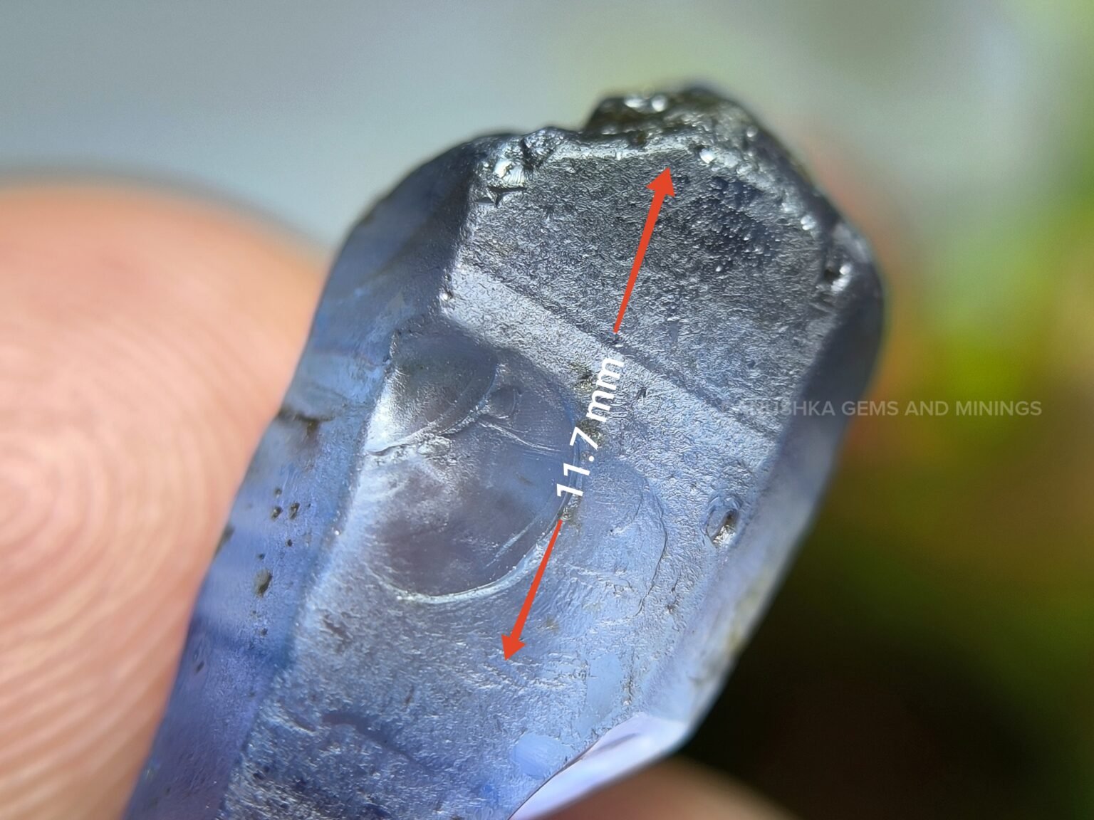 Facet grade Ceylon sapphire "Ottu" rough